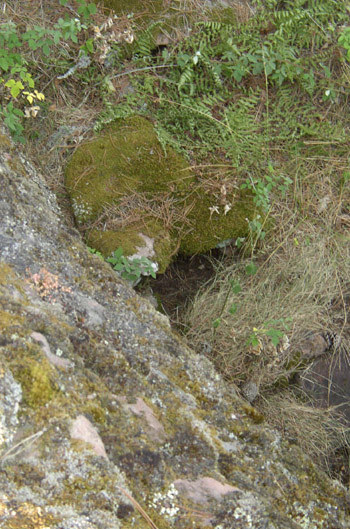 Fuentes del Pinar :: asociacionculturallariba